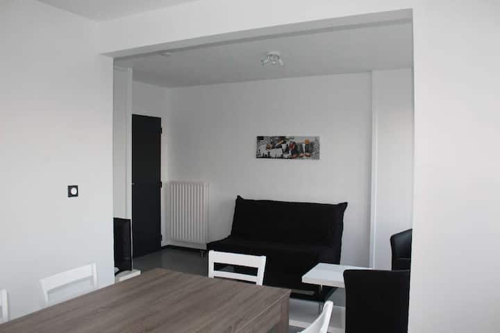 Guillemot 3 - Lorient