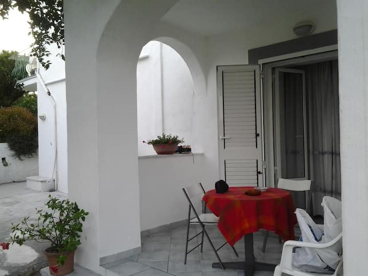 Serrara Fontana,b&b Il Roseto Stanza Per 2 Persone - Ischia
