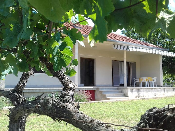 Zaton Holiday House - Zaton