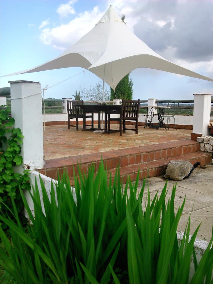 Quinta Mimosa. Alcalar. - Monchique