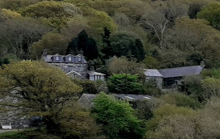 Warm Welcome - Panoramic Delight In Snowdonia - Portmeirion