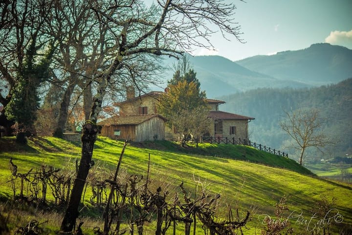 Poggio Di Dante Zona Camaldoli - Italy