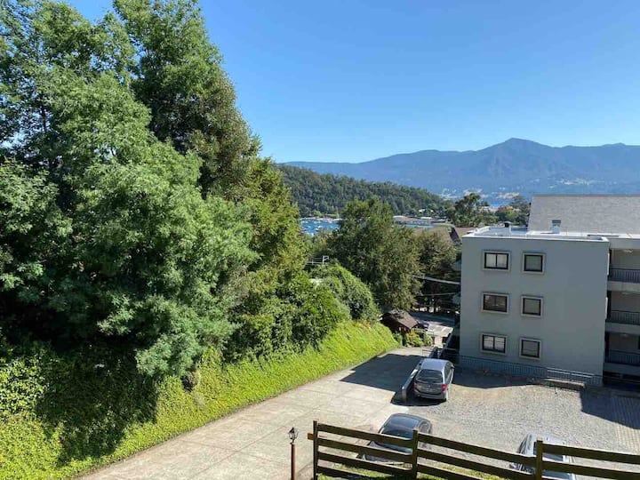 Acogedor Departamento Vista Al Lago - Pucon