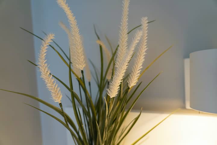 The Treview Central 2 Bdr Flat - Bridgewater