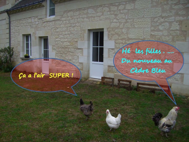 Au Cèdre Bleu - Longère Traditionnelle 6 Pers. - Bourgueil