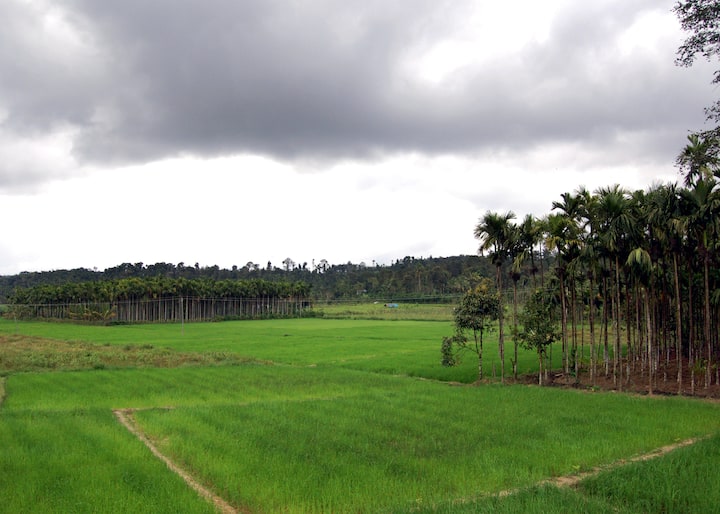 Enteveedu Homestay-rooms Aakash And Thejus - Wayanad