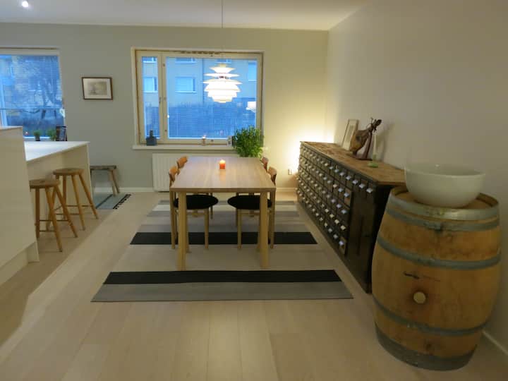 Spacious One Bedroom Apartment - Helsinki
