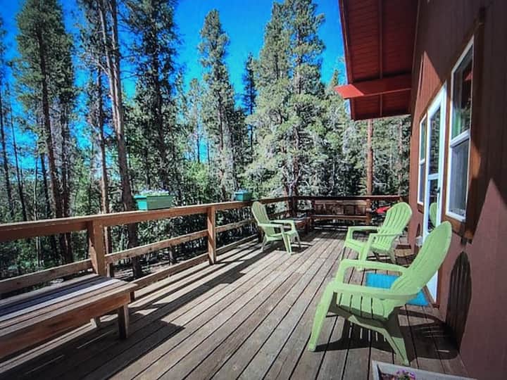Chalet In The Woods On 30+ Acres! - Colorado