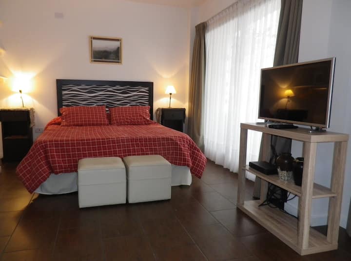 Spacious And Bright New Studio In Palermo Soho - Buenos Aires