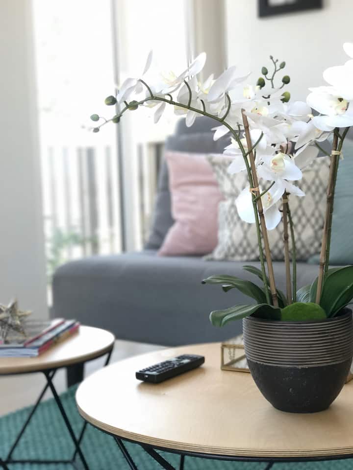 Cozy Apartment In Heart Of Mx Cty - Mexico City