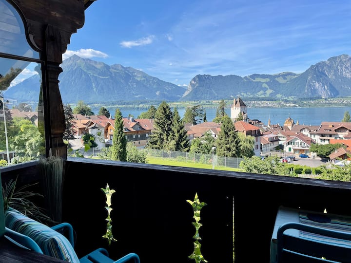 Amazing View With Balcony And Free Parking - Thun