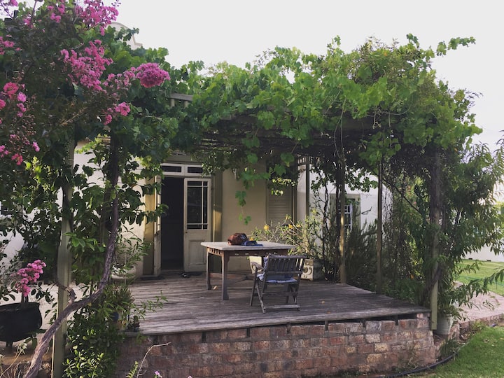 Sons Of The King Guest House - De Rust