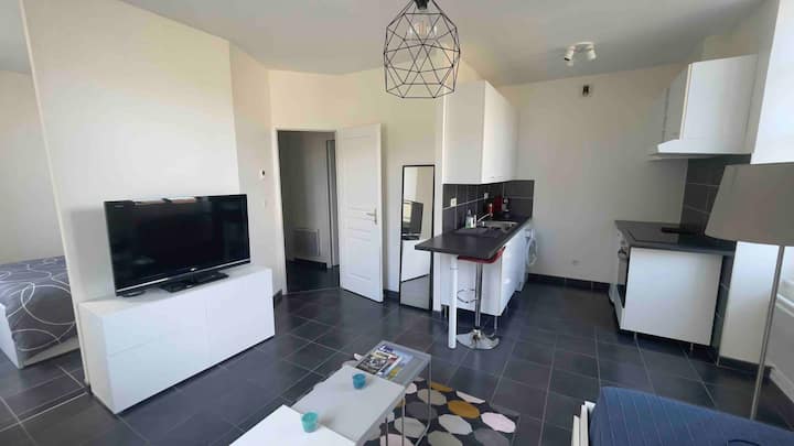 Appartement Charmant Refait à Neuf En Centre Ville - IBIS Lyon Sud Chasse Sur Rhône