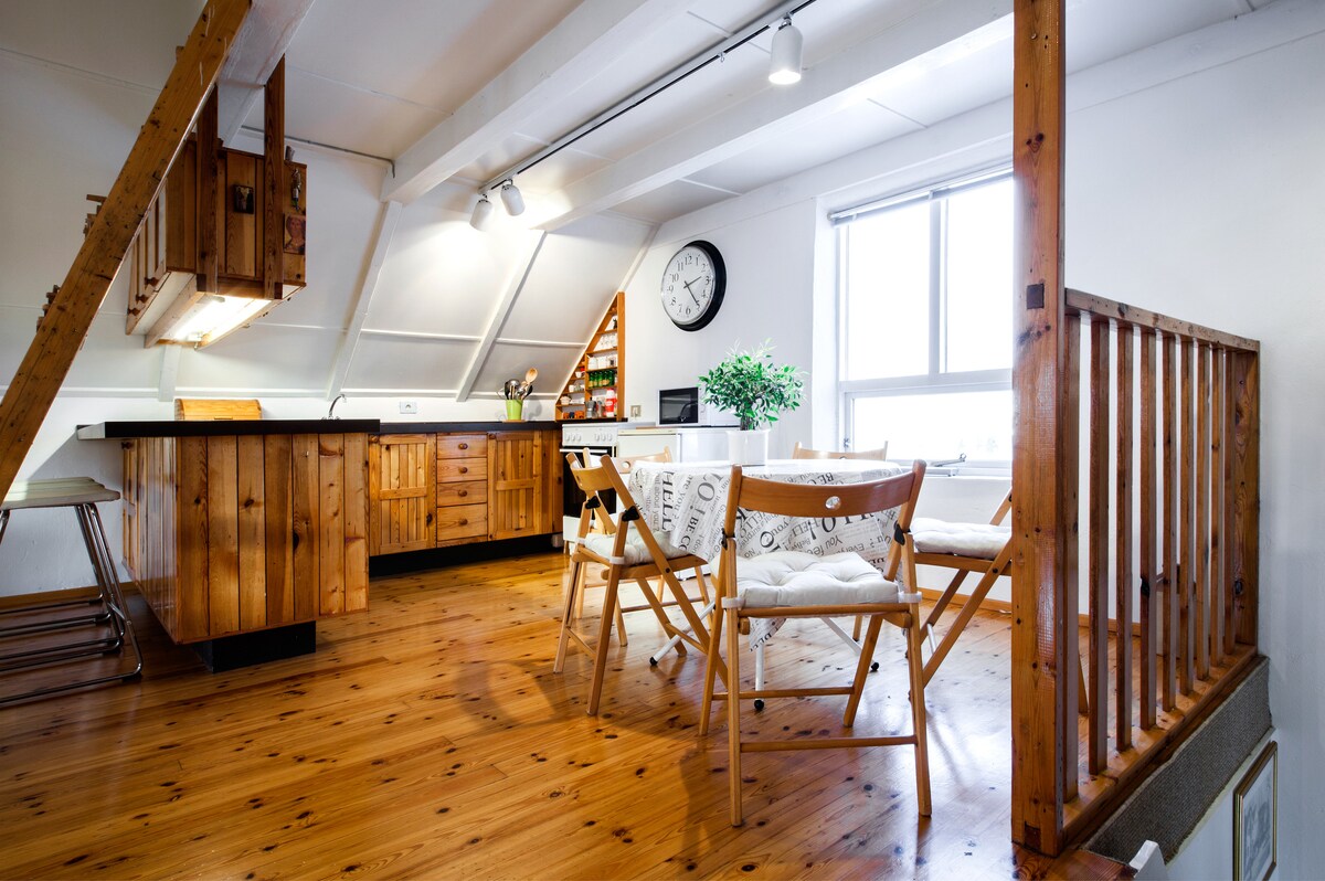 Reykjavík Vacation Rentals | Houses and More | Airbnb