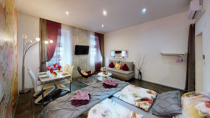 Near Schönbrunn And The City Center - Viena