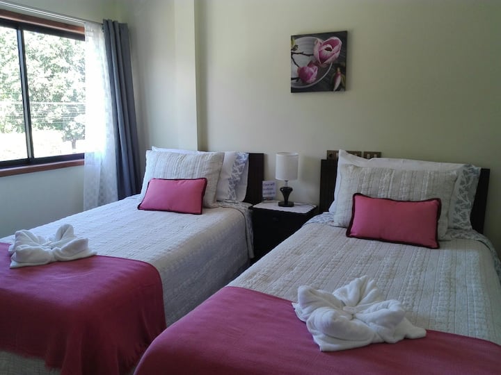 Mallinco Departamento 3 - Pucon