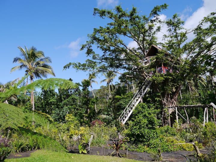 Tree Top House At Volcano's Entrance - Yasur Lodge - Vanuatu