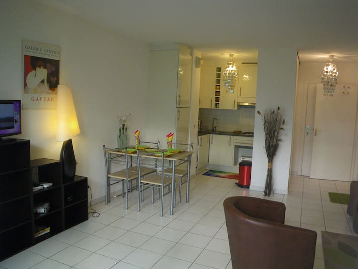 Cannes Centre Grand Studio Proche Palais Et Plages - Cannes