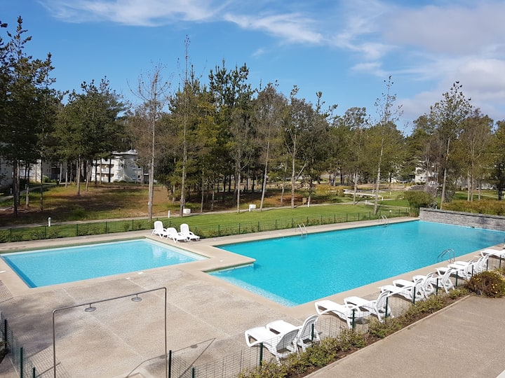 Departamento Bosques La Candelaria. - Algarrobo
