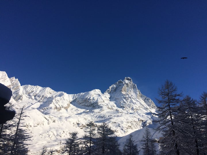Betsy's Space  Ski In-out  Cervinia - 체르마트