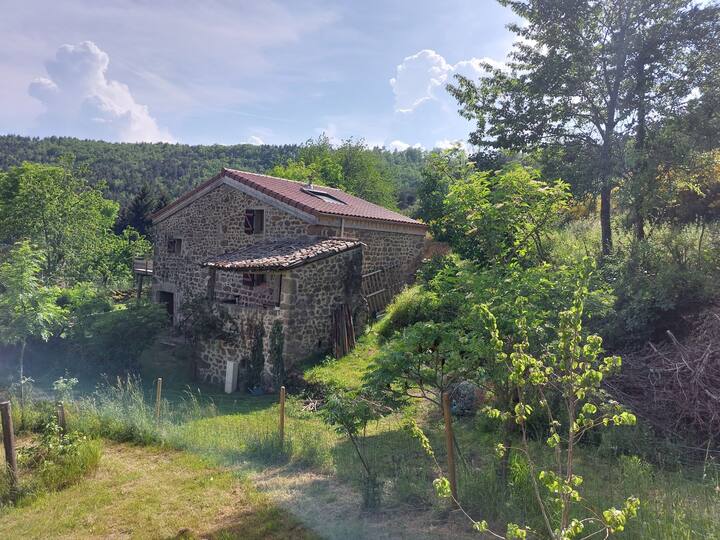 Maison Dans Les Bois - Saint-Victor