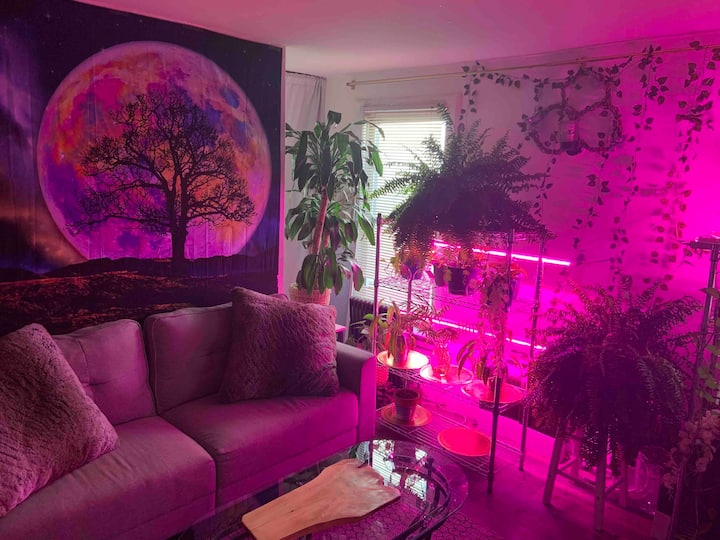 Ewr | Secret Zen Garden: Master Suite Studio - Todt Hill - Staten Island NY