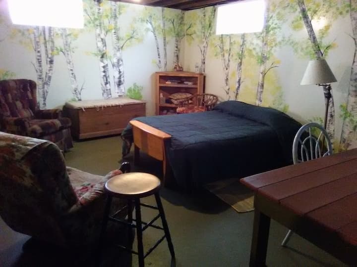 Basement Queen Bedroom & Bath/shower - Sault Ste. Marie, MI