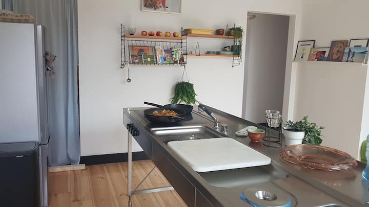 Huis Bij Amsterdam En Zandvoort - Zandvoort