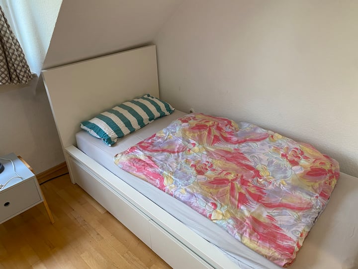 Einfaches, Günstiges Zimmer Auf Der Parkinsel - Mannheim