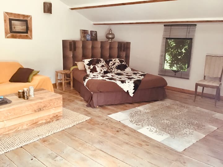 Chambre Indépendante Avec Terrasse. - Cap Corse