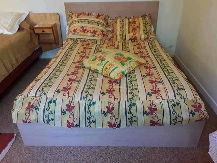 Grande Chambre 2 Lits à 2 Places - Saint-Nectaire