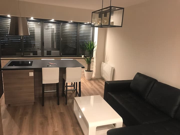 Appartement T2 Neuf , Lisle-jourdain. - L'Isle-Jourdain