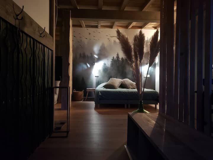 Petit Chalet " Le Clos Vert " - Remiremont