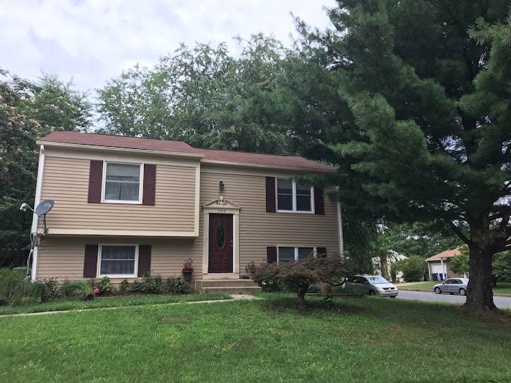 Private Entire Downstairs 2 Rooms, Renovated - Frederick, MD