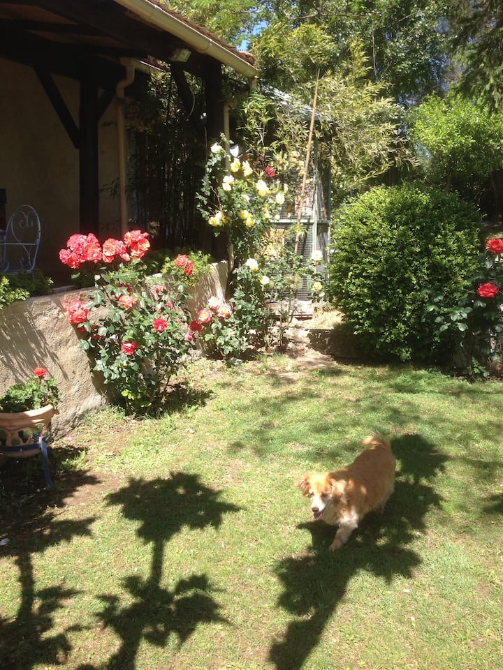 Chalet En Bois Chaleureuse -La Butte Blanche - Cavaillon