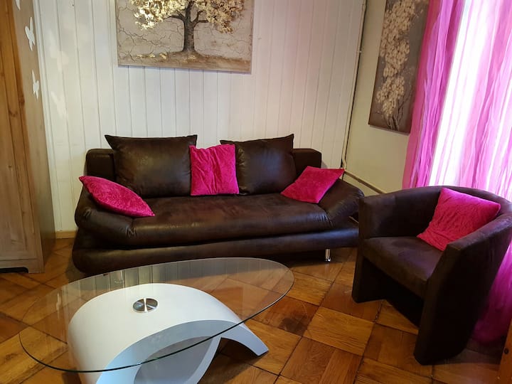 Centré 2 Pieces Superbe Appartement - Lausanne