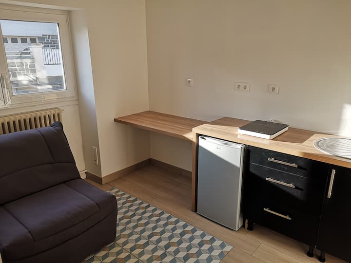 Studio Face L’iut –Parking Facile – Idéal éTudiant - Yffiniac