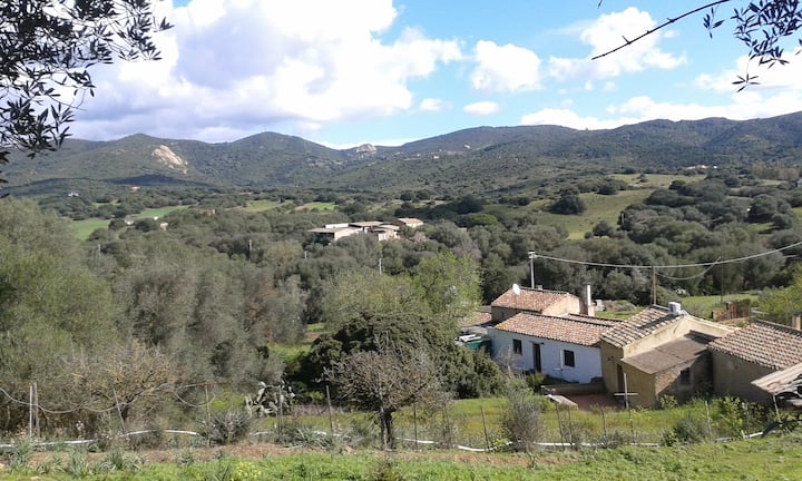 Farmhouse 1km From Southernmost Sardinian Coast - Domus De Maria