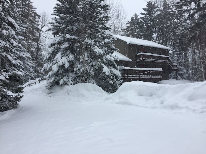 On Access Rd. 3bedr. 2bath. Large 10skiers Hot Tub - Killington, VT