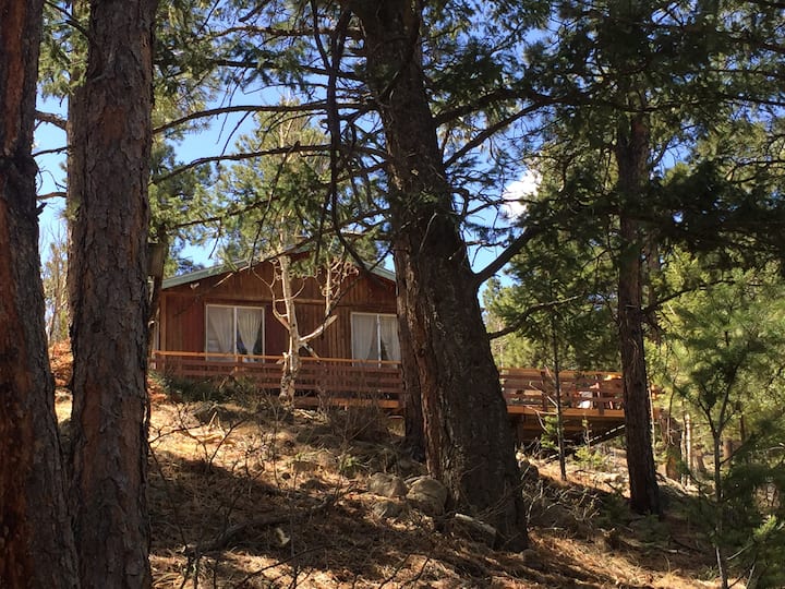 Cabin On A Mountain In A Forest - Staunton State Park, Pine