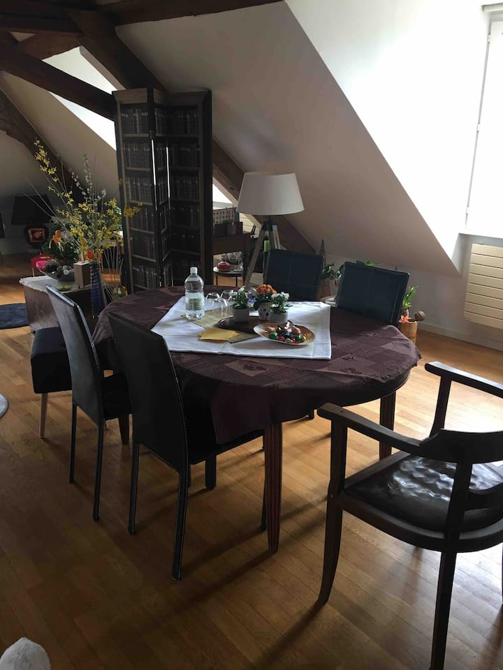 Loft Strasbourg - Strasbourg
