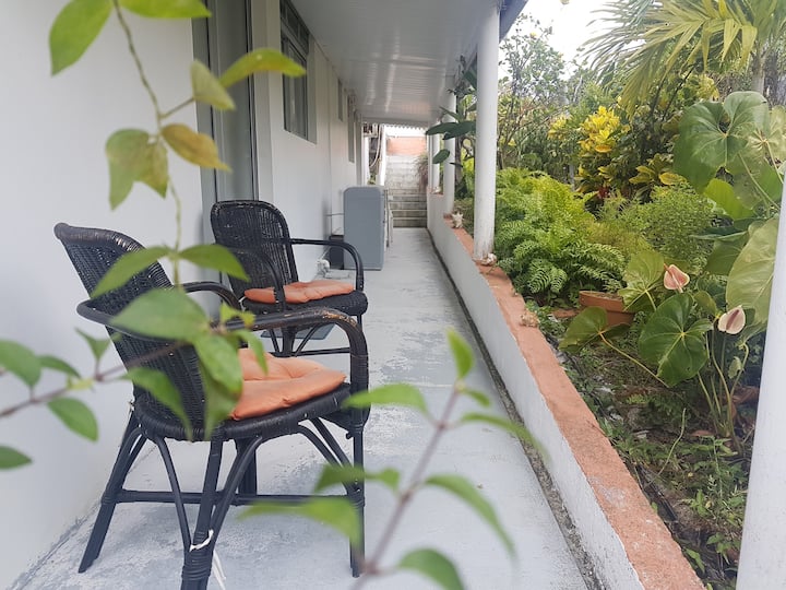 Paradise Of Tropiques - Martinique