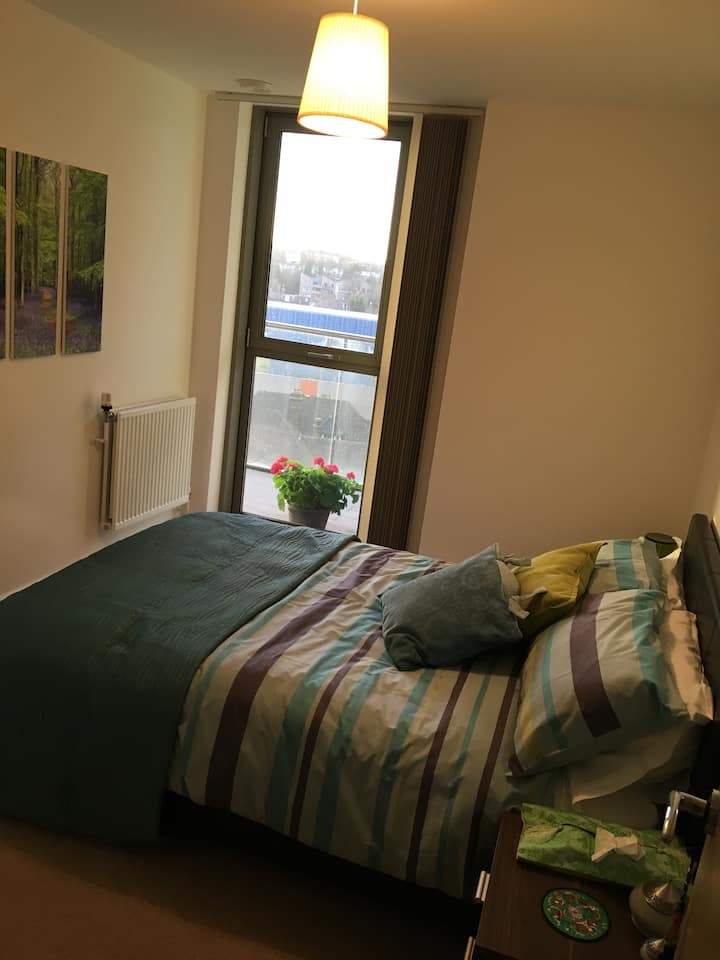 Lovely Room In Cosy Flat Near Greenwich - Central London