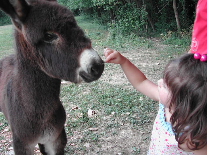 Being Together - Sleep, Celebration-room & Kitchen - 지로나