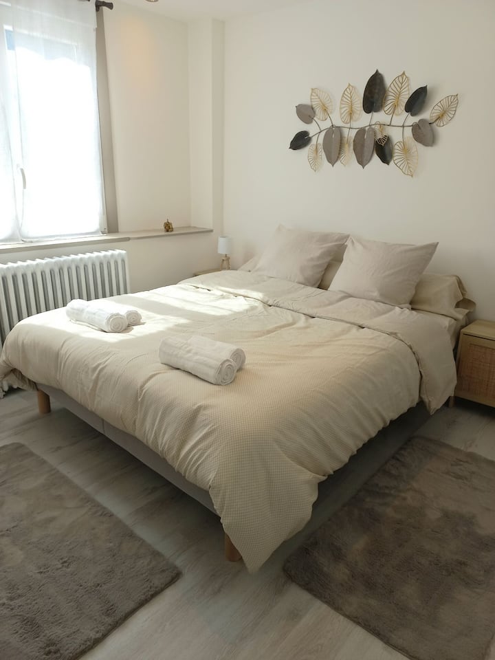 Appartement Les Géraniums, Proche Du Centre-ville - Remiremont