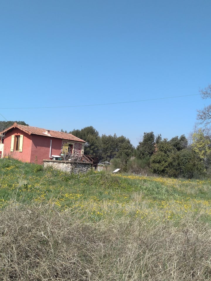 Vacances Au Luberon. - Apt