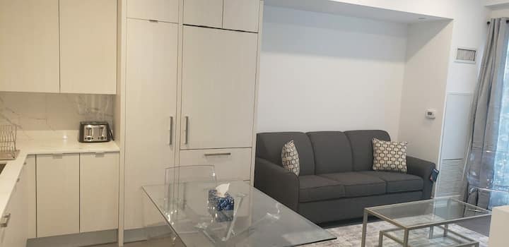 Brand New Home In Luxury Part Of Toronto - Toronto