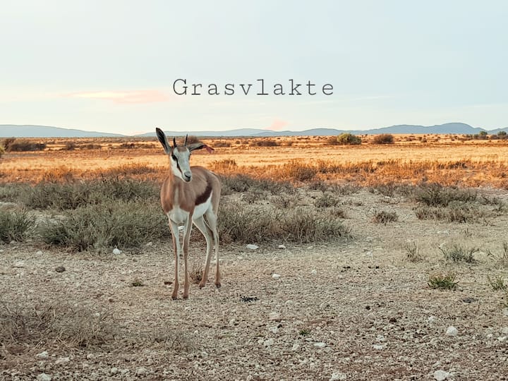 Grasvlakte Safari Farmstay - Postmasburg