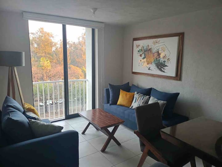 Grandioso Departamento Céntrico En Guadalajara - Guadalajara