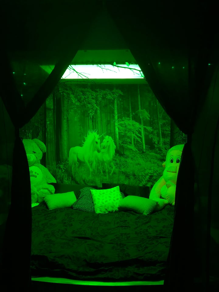 Unicorn Crossing Entire House - High River